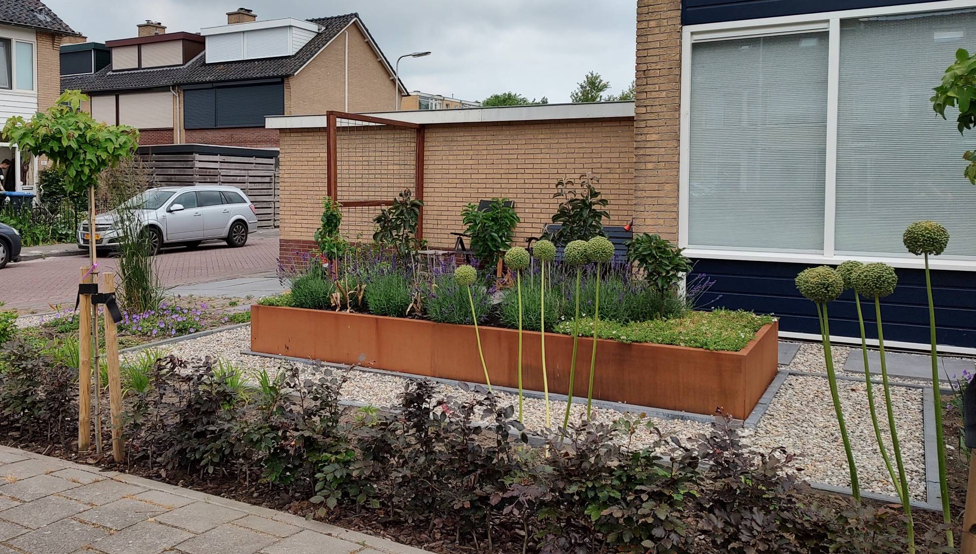 Vicas Tuinontwerpen - Voor een creatief tuinontwerp of een tuincursus.